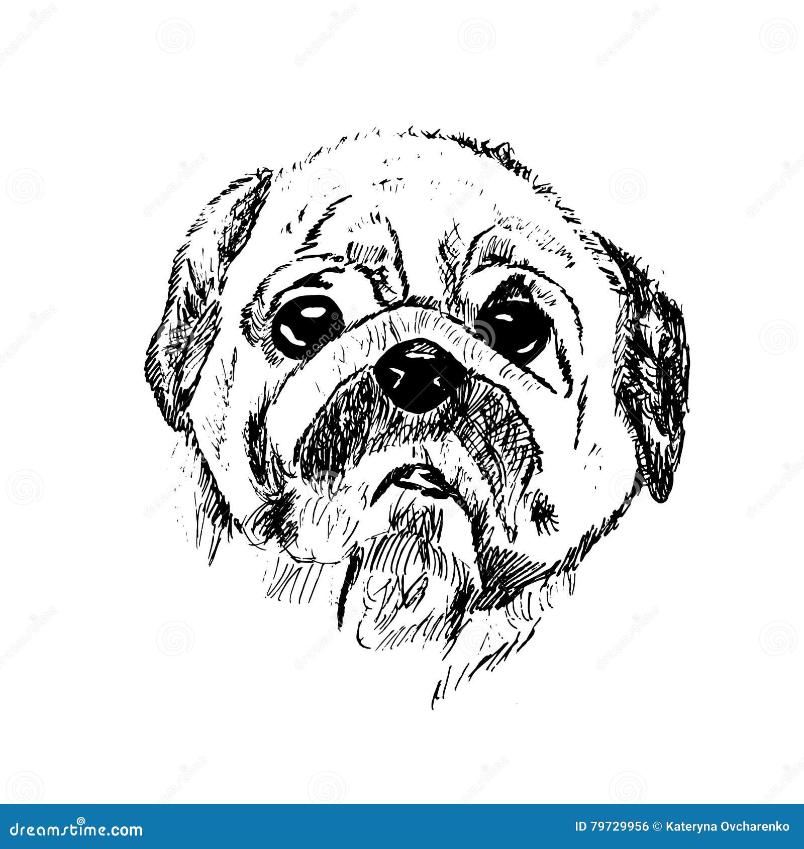 Zwart-witte Schets Van Een Hond Stock Illustratie - Illustration of ...