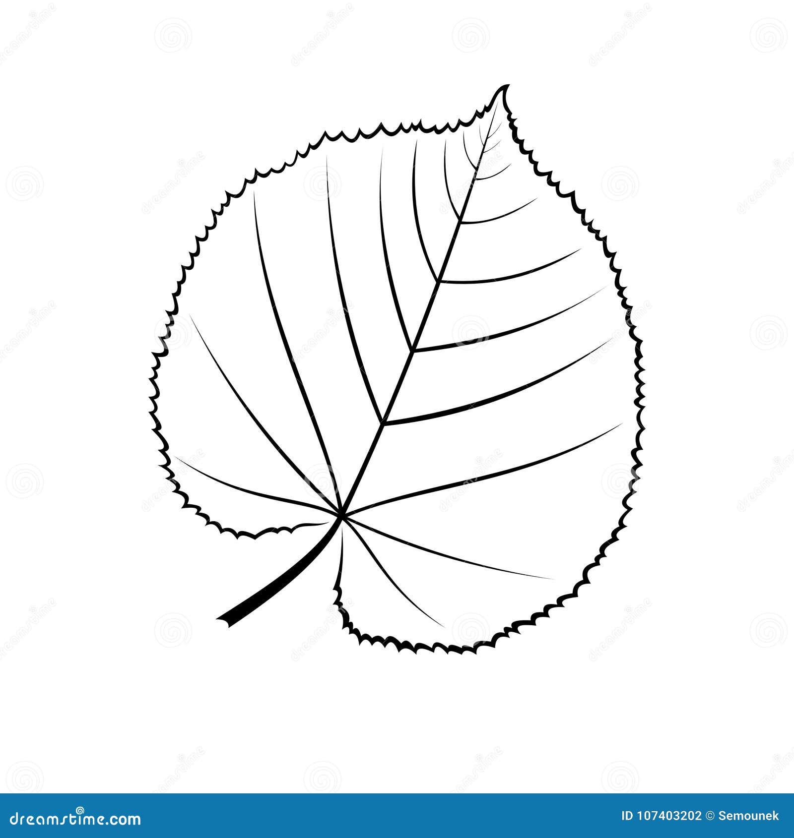 Zwart-witte Vectorillustratie Van Een Blad Van Linde Vector Illustratie ...