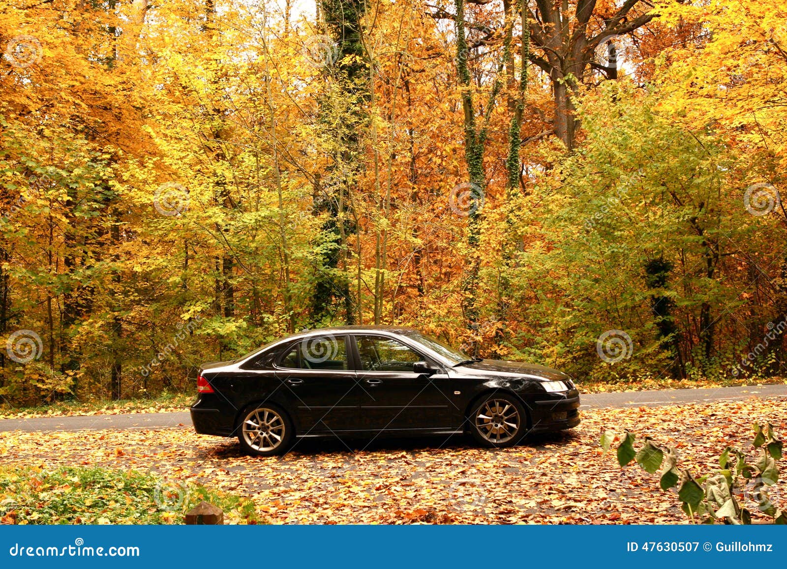 Zwarte auto in het bos stock afbeelding. Image of auto - 47630507