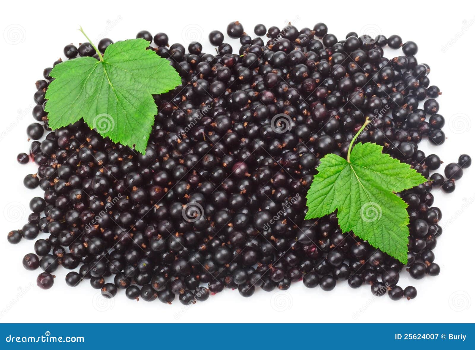 Zwarte bessen stock afbeelding. Image of voedsel, smakelijk - 25624007