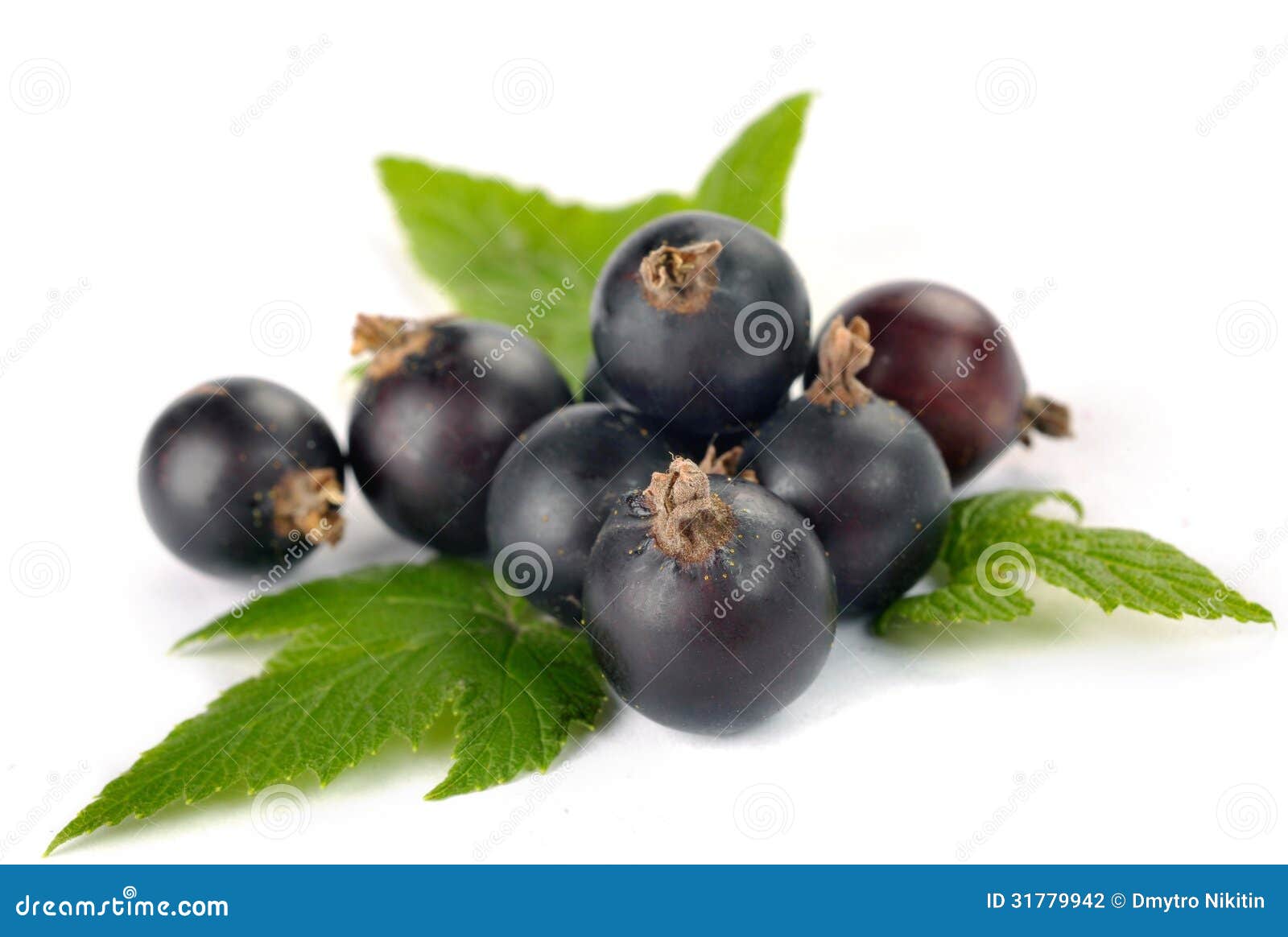 Zwarte bessen met bladeren stock foto. Image of voedsel - 31779942