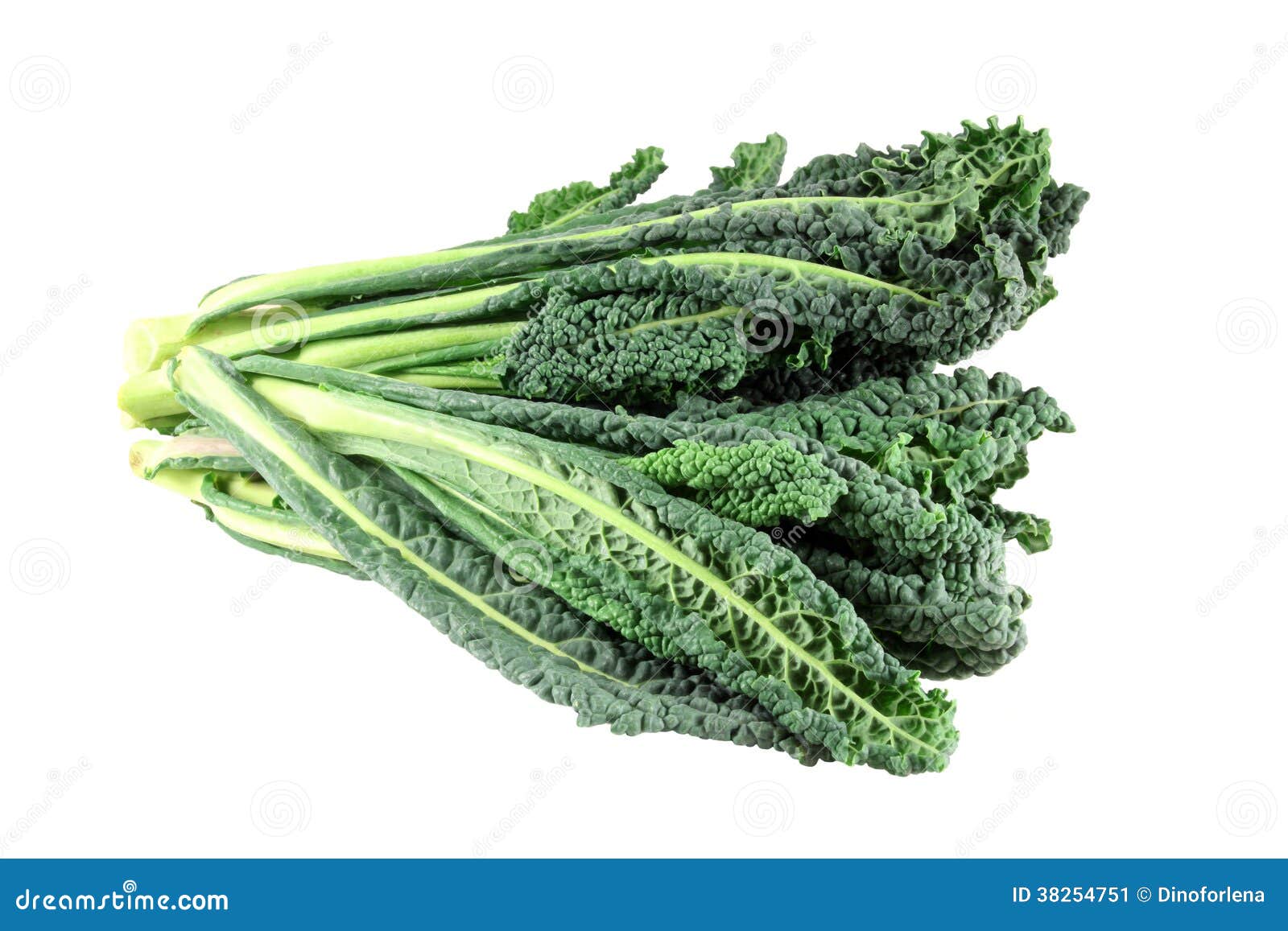 Zwarte Kool, Italiaanse Boerenkool Stock Afbeelding - Image of blad ...