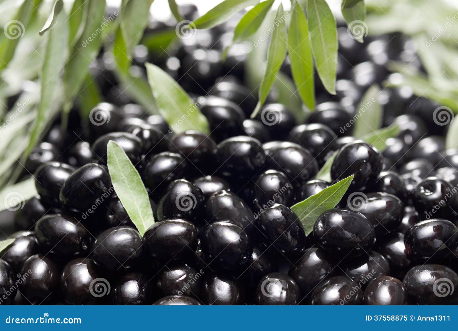 Zwarte Olijven Met Bladeren Stock Afbeelding - Image of ingrediënt ...