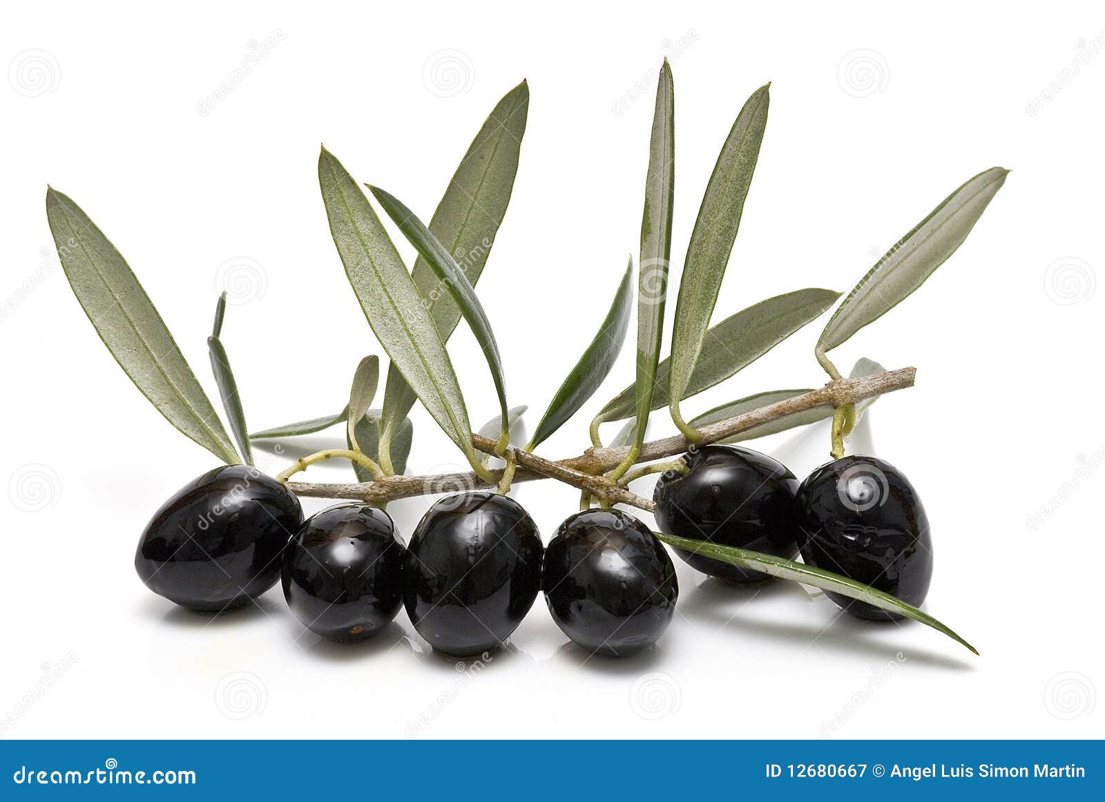 Zwarte olijven op de tak. stock afbeelding. Image of vrucht - 12680667
