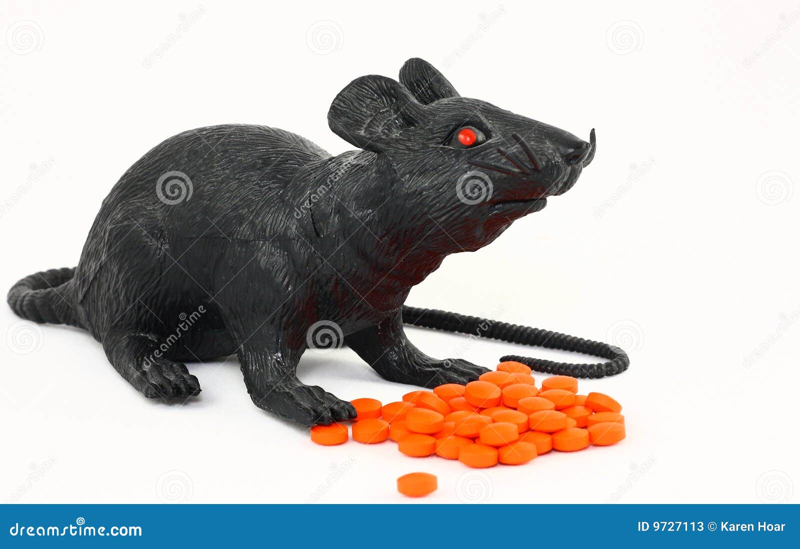 Zwarte Rat met Drugs stock afbeelding. Image of dekking - 9727113
