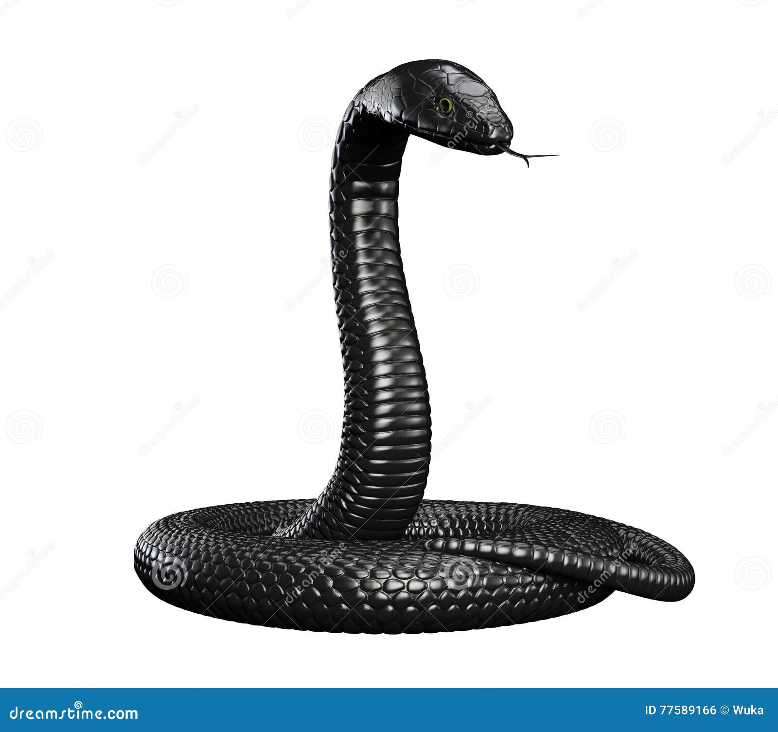 Zwarte Slang Op Witte Achtergrond Stock Illustratie - Illustration of ...