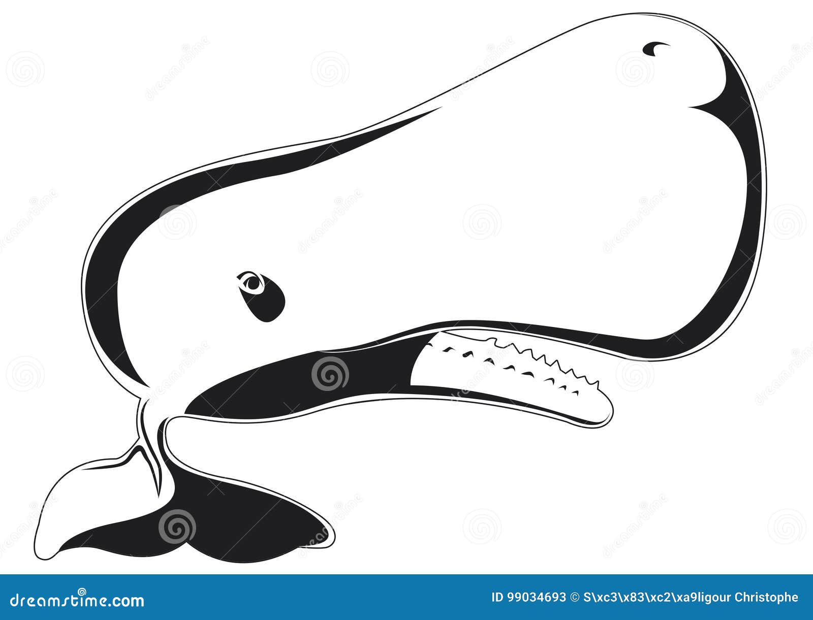 Zwarte tekening van potvis vector illustratie. Illustration of zwart ...