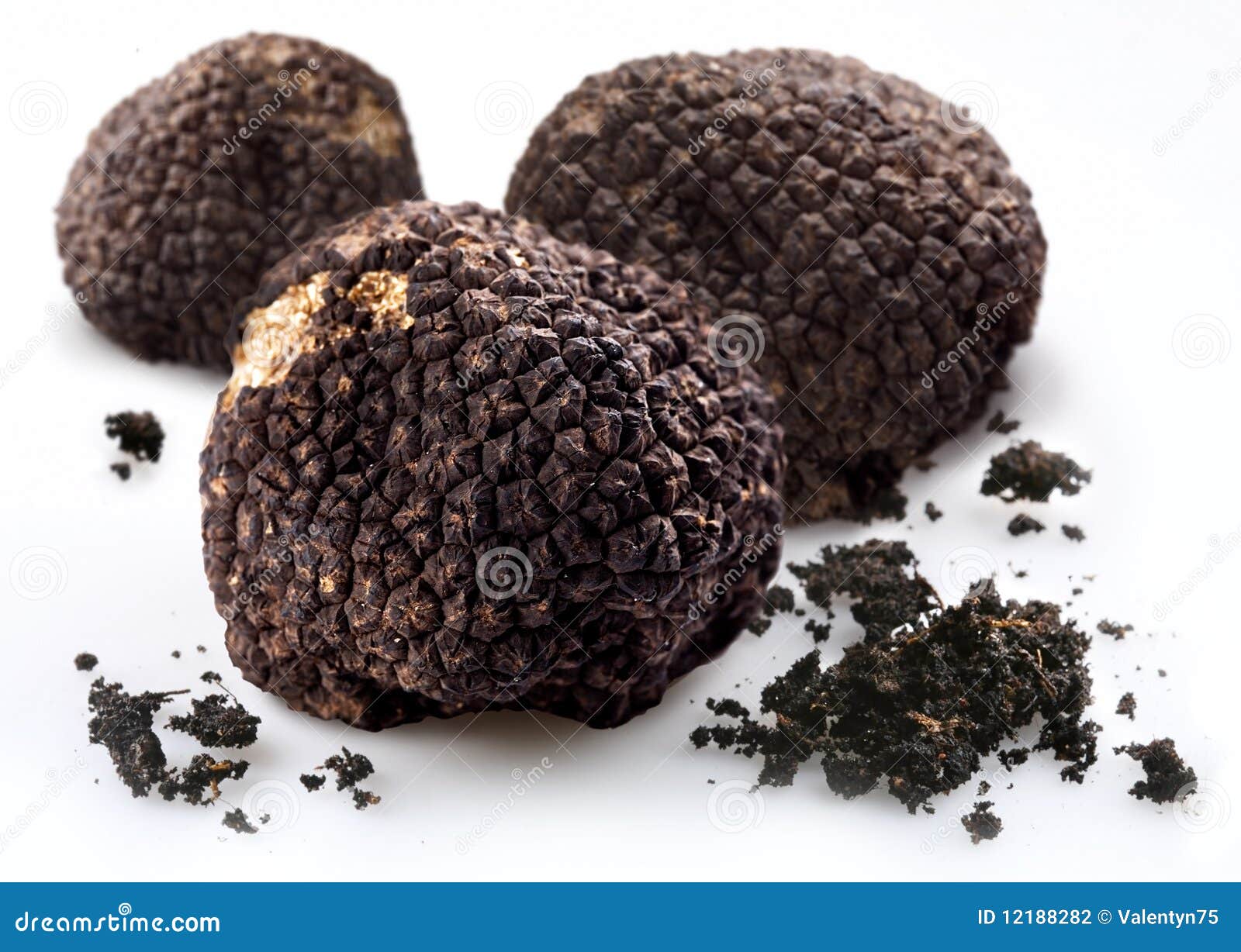 Zwarte Truffels Met De Stukken Van Grond Stock Foto - Image of bruin ...