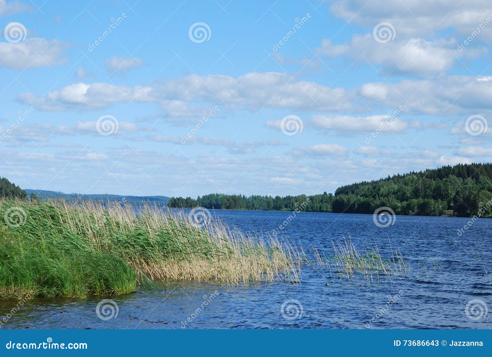 Zweeds meer in de zomer stock afbeelding. Image of vreedzaam - 73686643