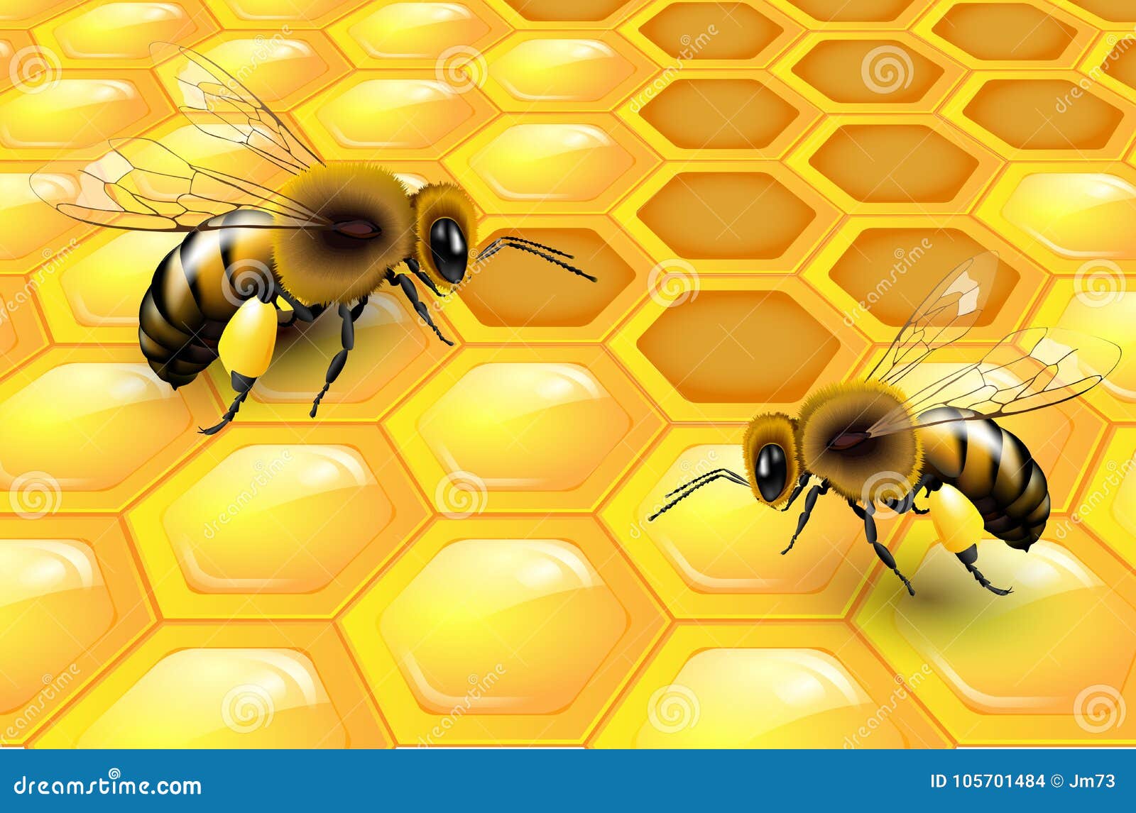 Zwei Bienen auf Bienenwabe vektor abbildung. Illustration von vektor ...