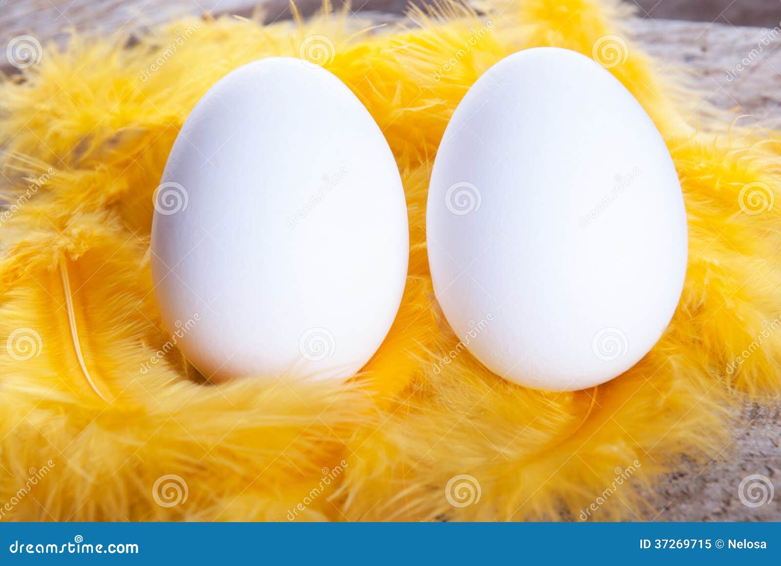 Zwei Eier stockbild. Bild von geschenk, hintergrund, glückwünsche ...