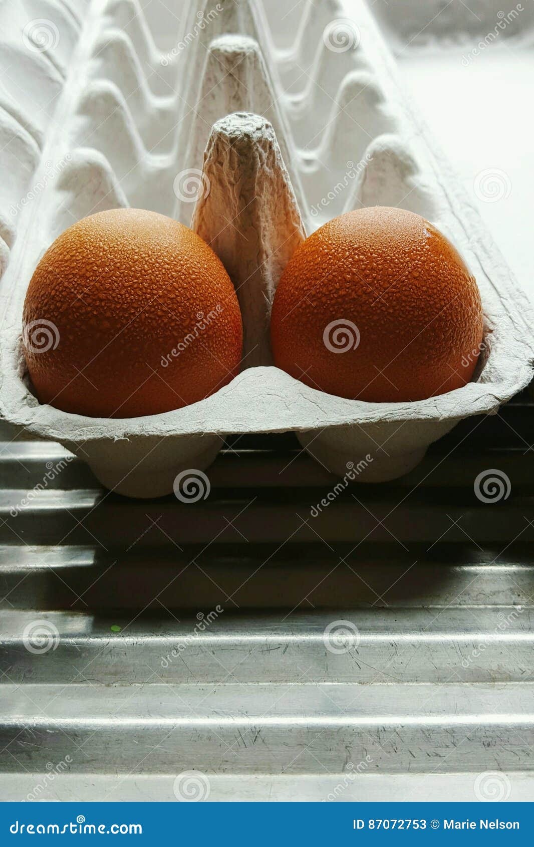 Zwei Eier im Eierkarton stockbild. Bild von wanne, karton - 87072753
