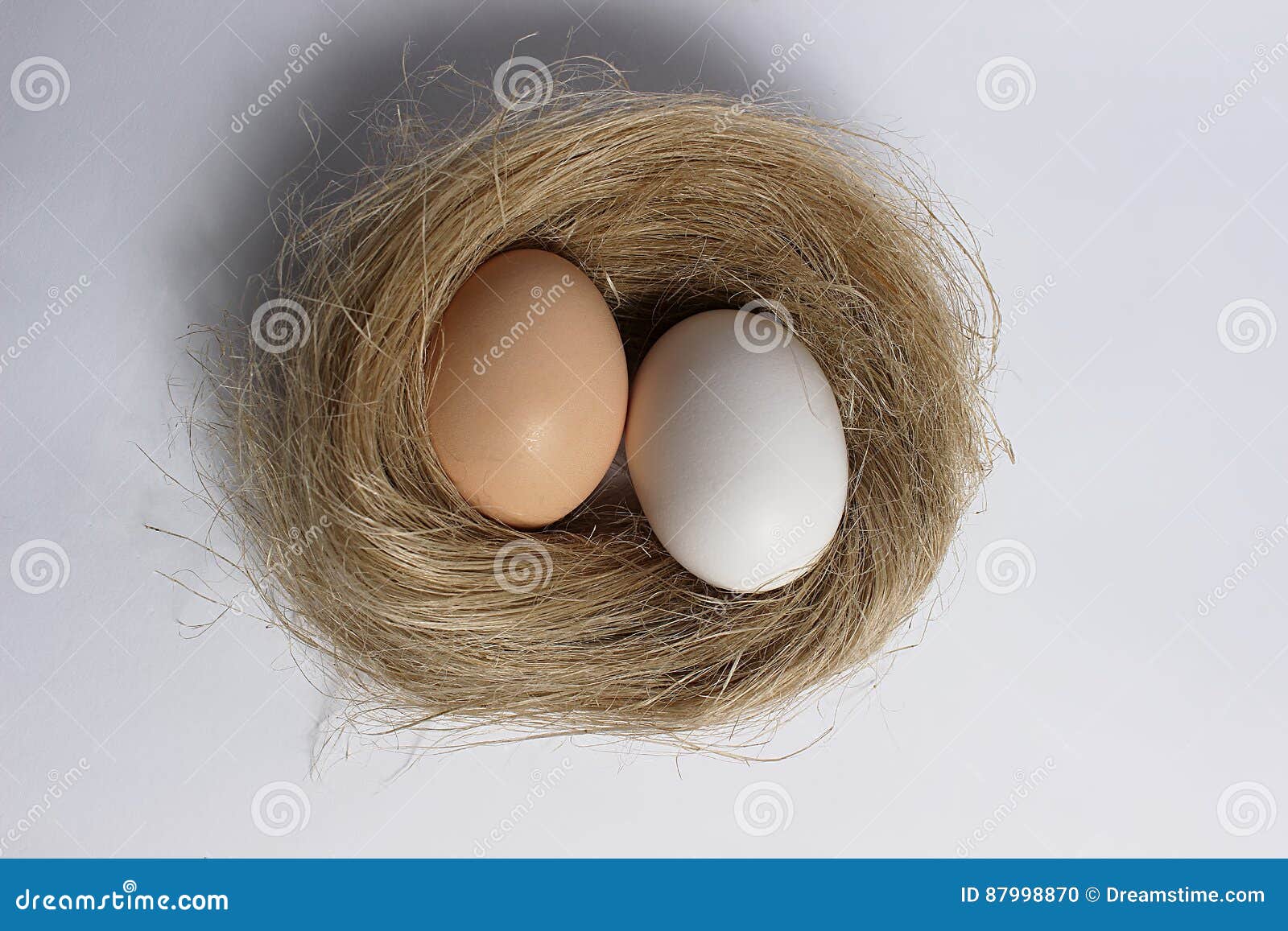 Zwei Eier im Nest stockfoto. Bild von bild, nave, braun - 87998870