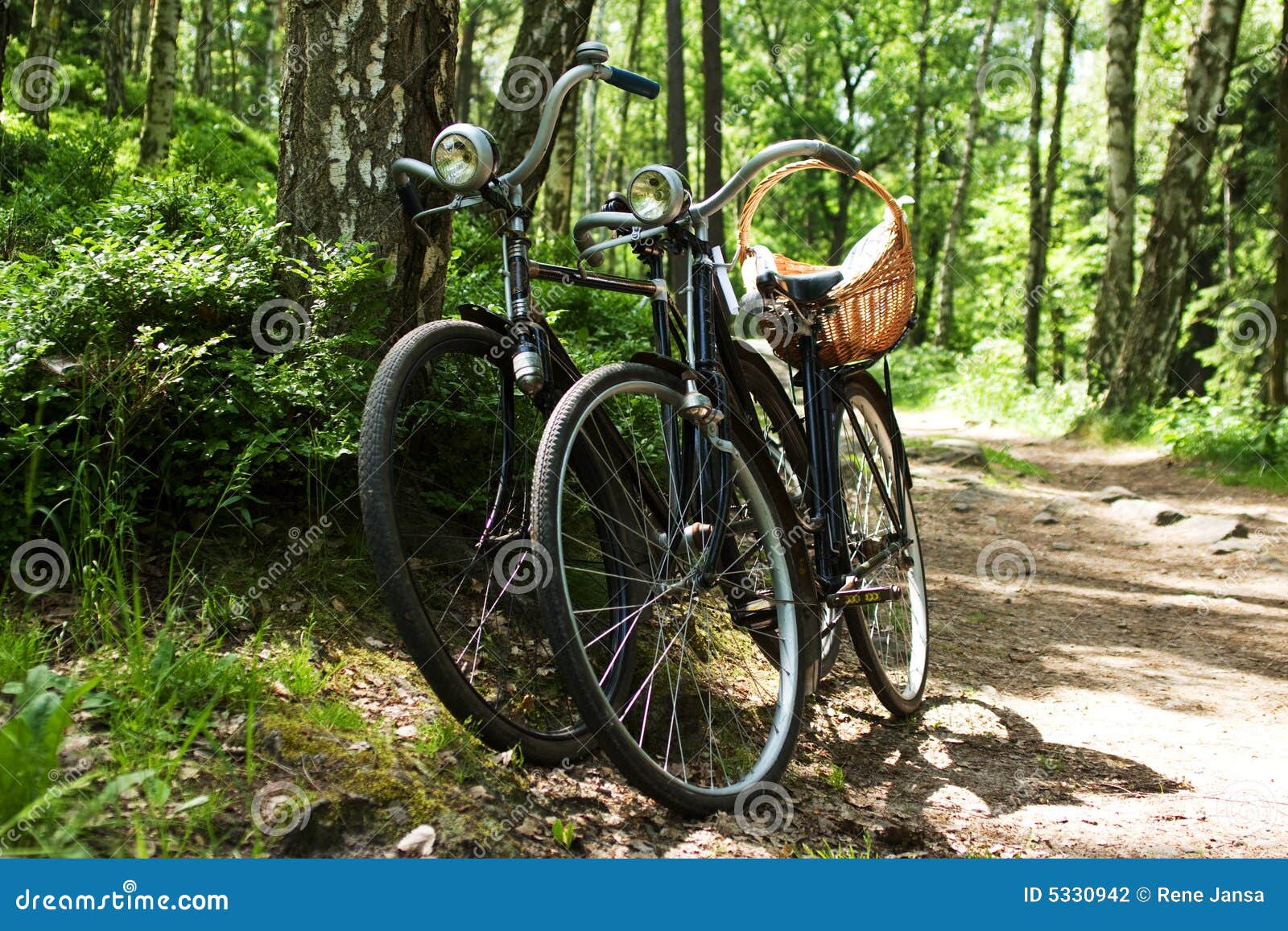 Zwei Fahrräder im Wald stockfoto. Bild von tageslicht - 5330942