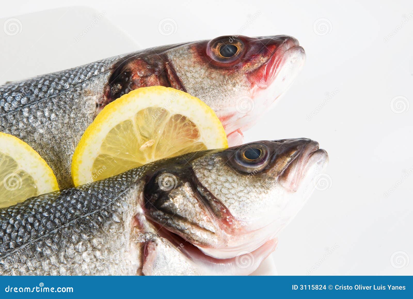 Zwei Fische stockfoto. Bild von nahrung, auslegung, verschreibt - 3115824