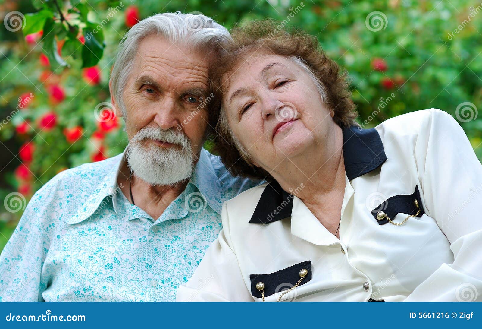 Zwei Gatten stockfoto. Bild von leute, bart, vater, freundschaft - 5661216