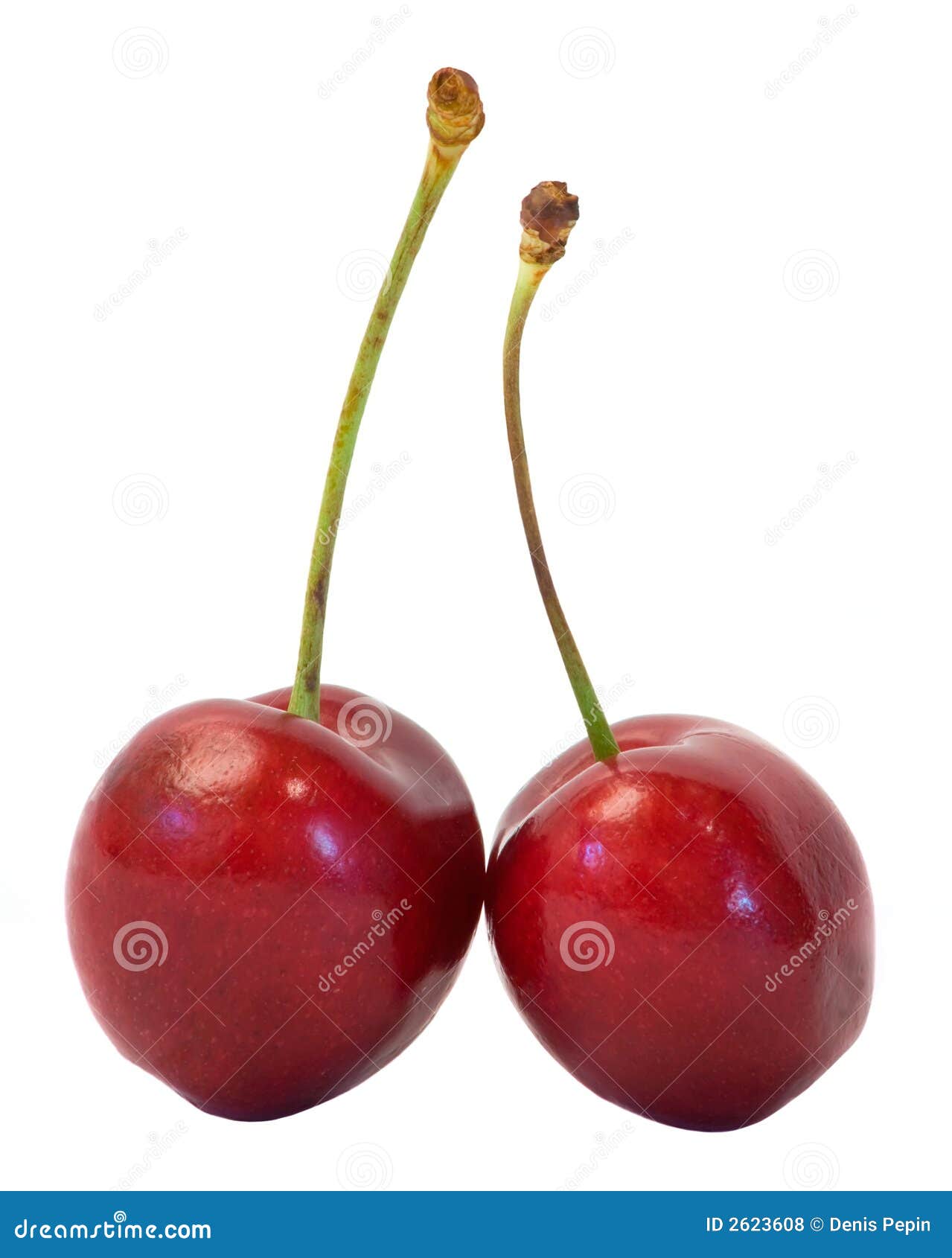 Zwei Kirschen stockfoto. Bild von bildschirmanzeige, nährstoff - 2623608