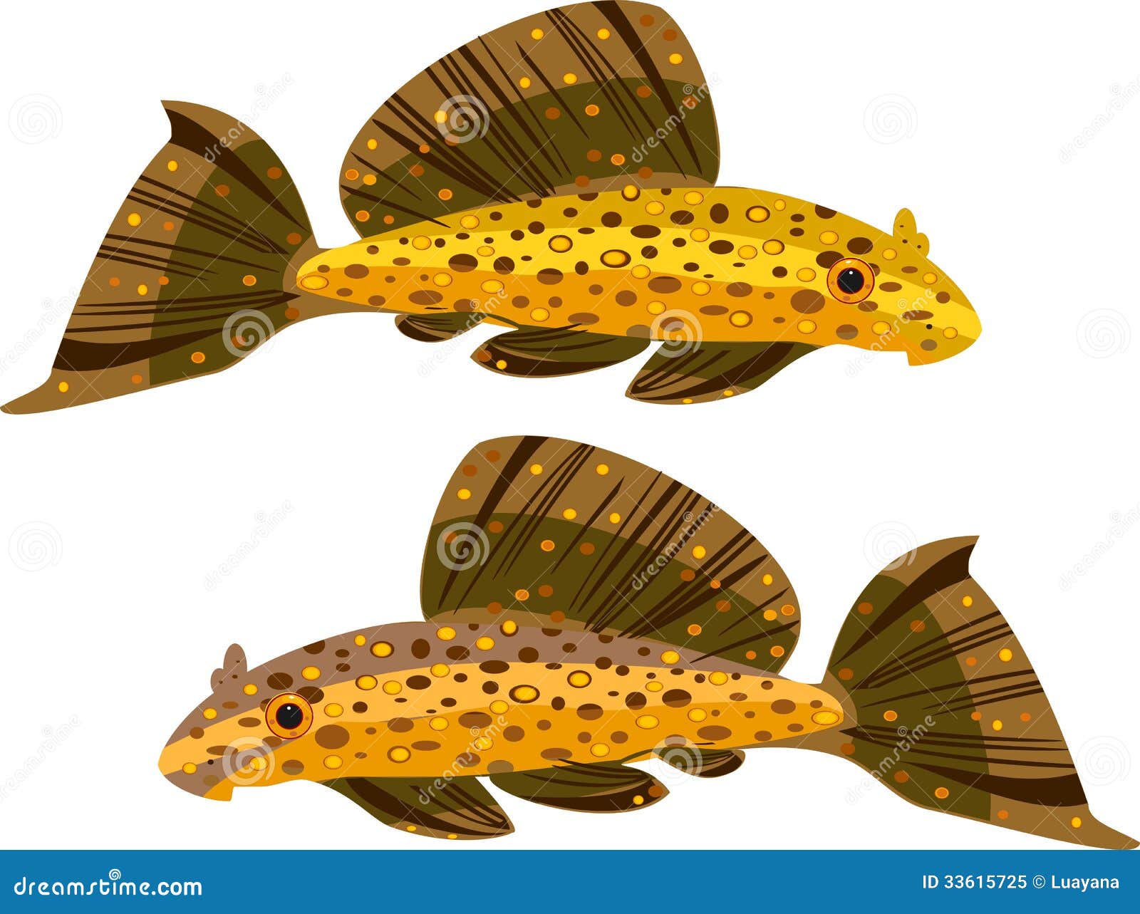 Zwei Leopard pleco vektor abbildung. Illustration von fische - 33615725