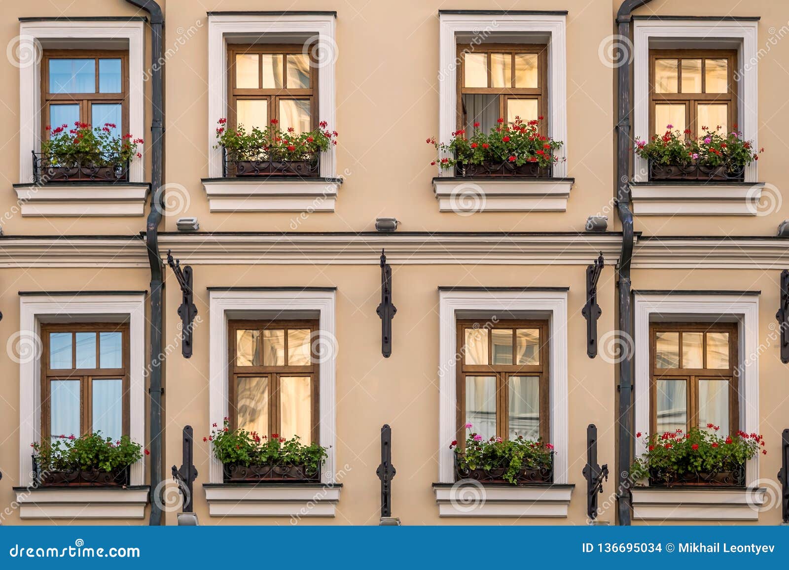 Zwei Reihen Von Fenstern Mit Blumen Stockfoto - Bild von glas ...