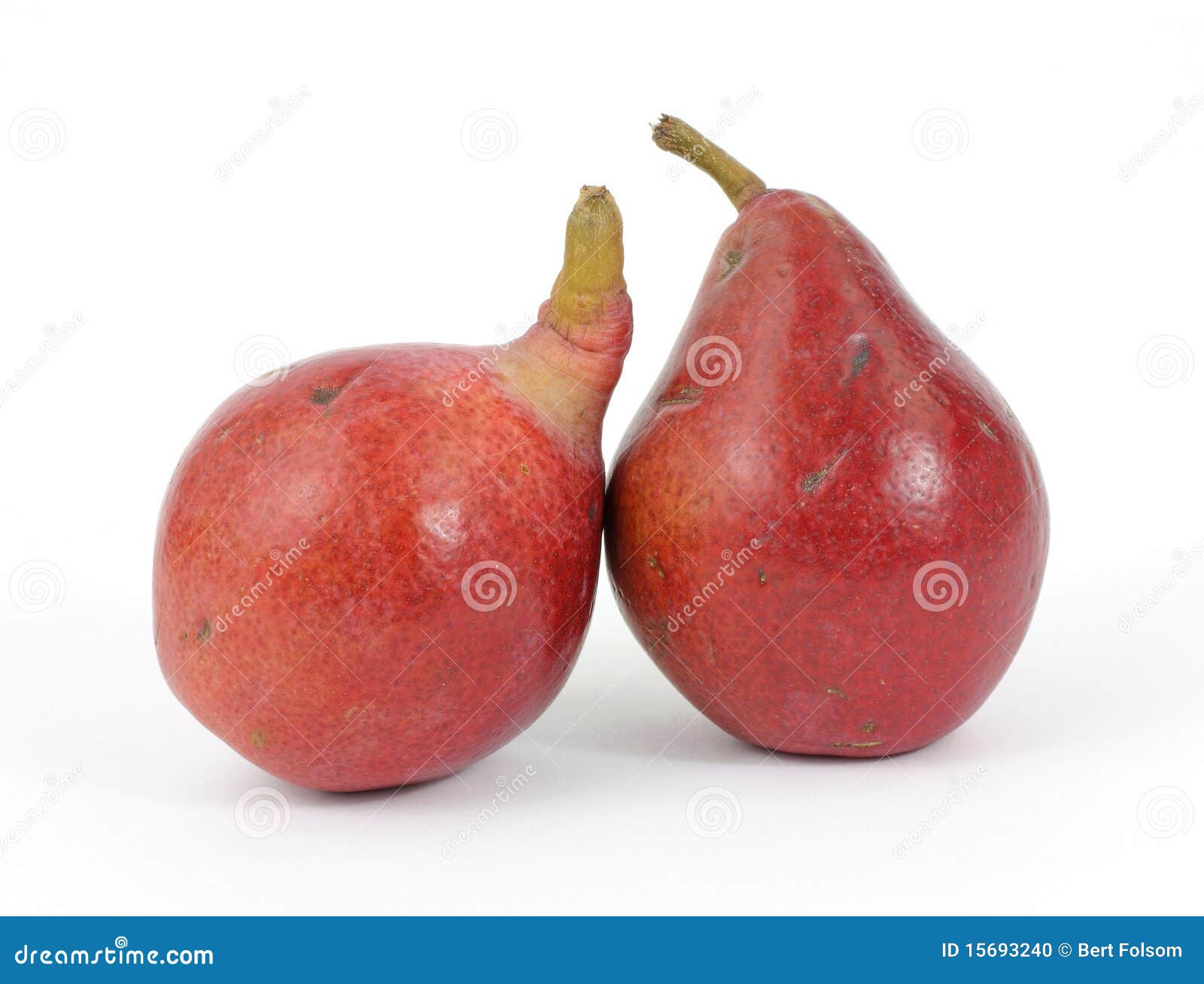 Zwei rote Birnen stockfoto. Bild von saftig, birnen, frucht - 15693240