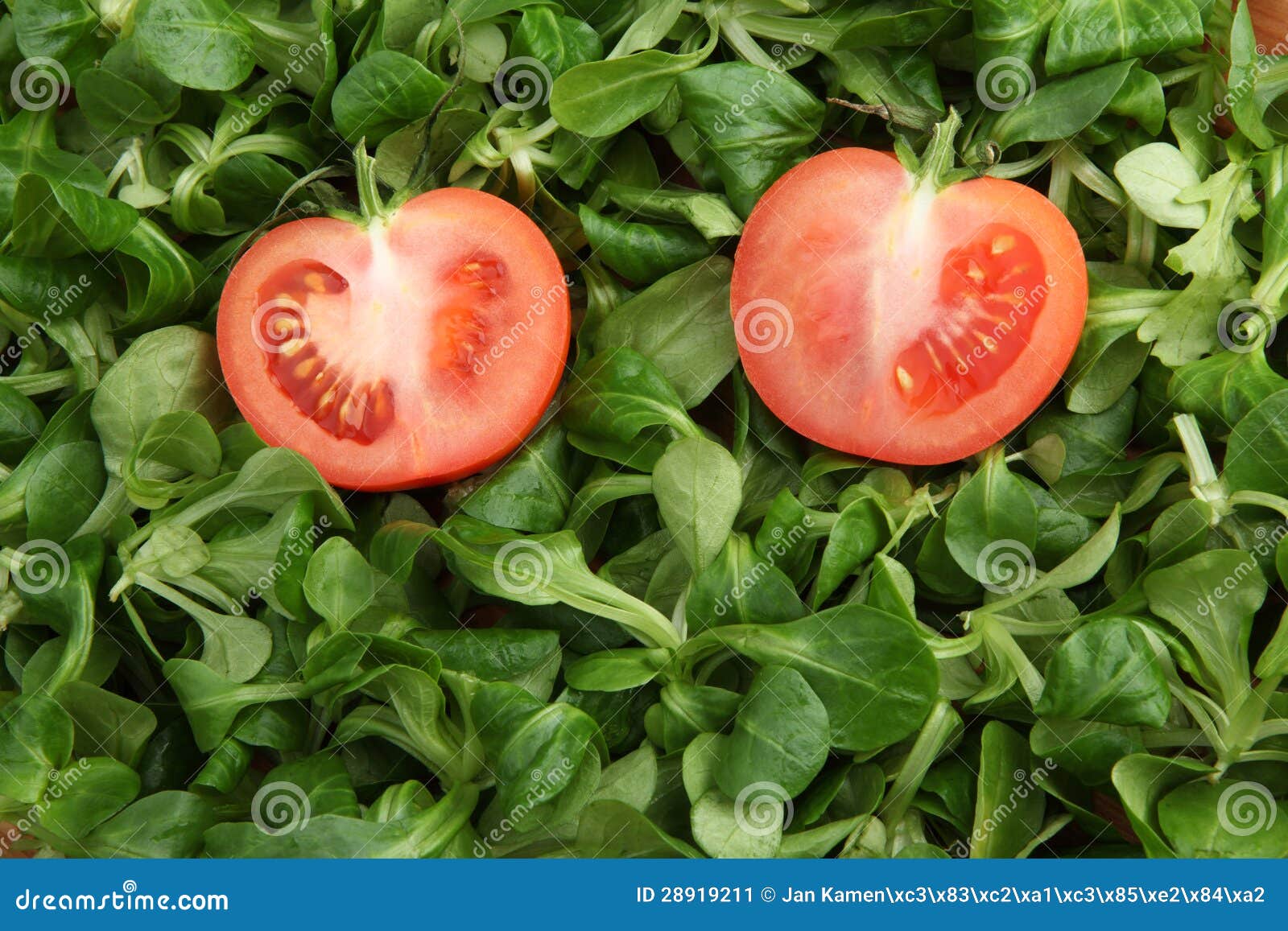 Zwei Scheiben Tomate in Grünem Mache Kopfsalat Stockbild - Bild von ...