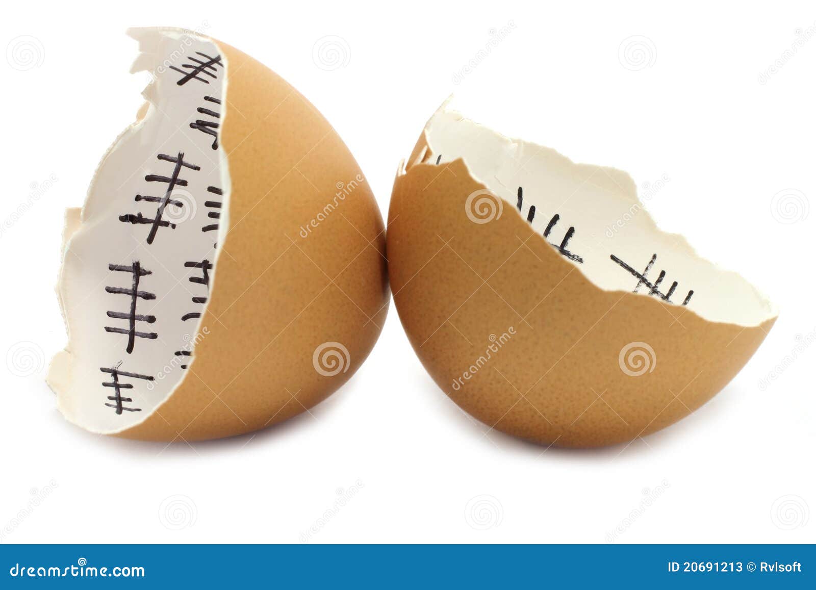 Zwei Stücke der Eierschale stockbild. Bild von getrennt - 20691213