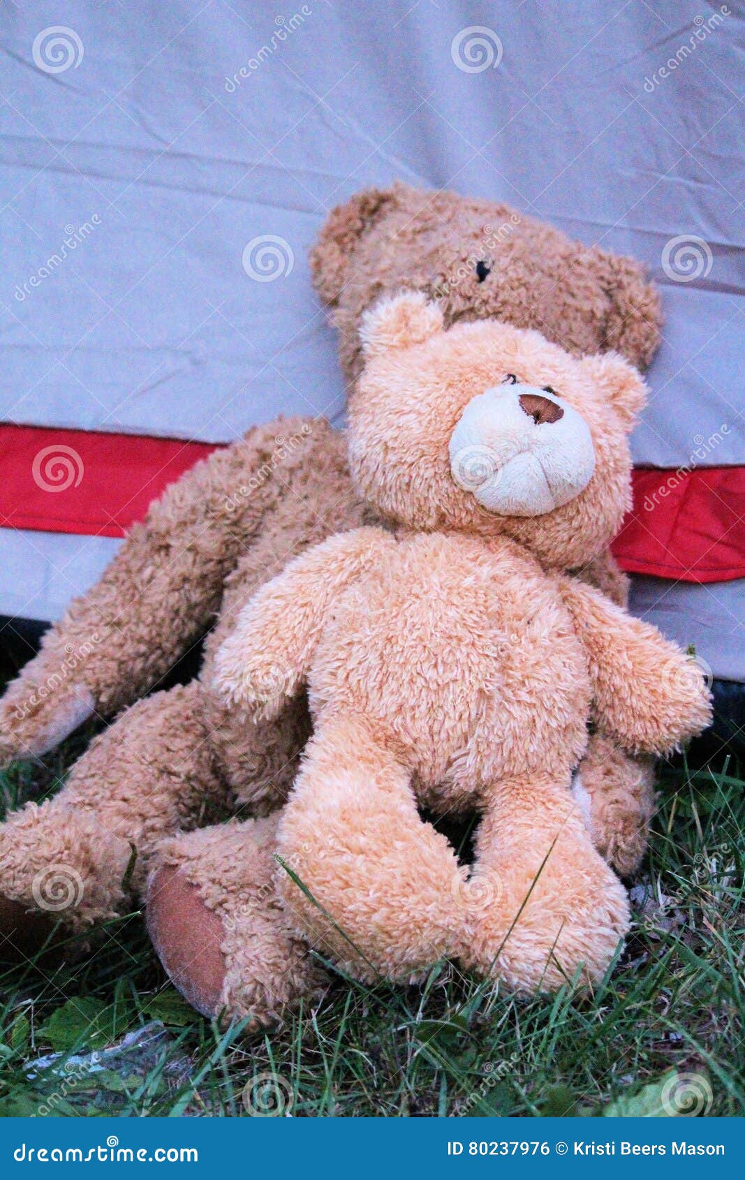 Zwei Teddy Bears Lying Auf Dem Gras Stockfoto - Bild von teddy, kinder ...