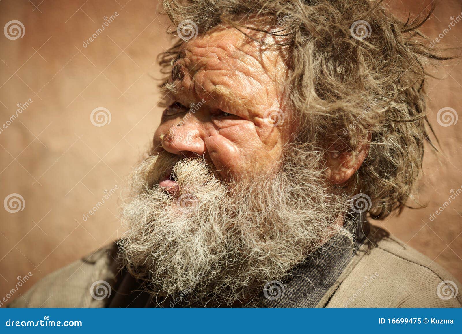 Zwerver stock afbeelding. Image of portret, wanhoop, baard - 16699475