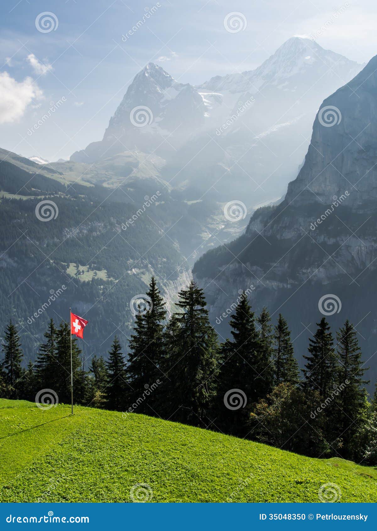 Zwitserse Vlag in De Bergen Stock Foto - Image of gras, wandeling: 35048350
