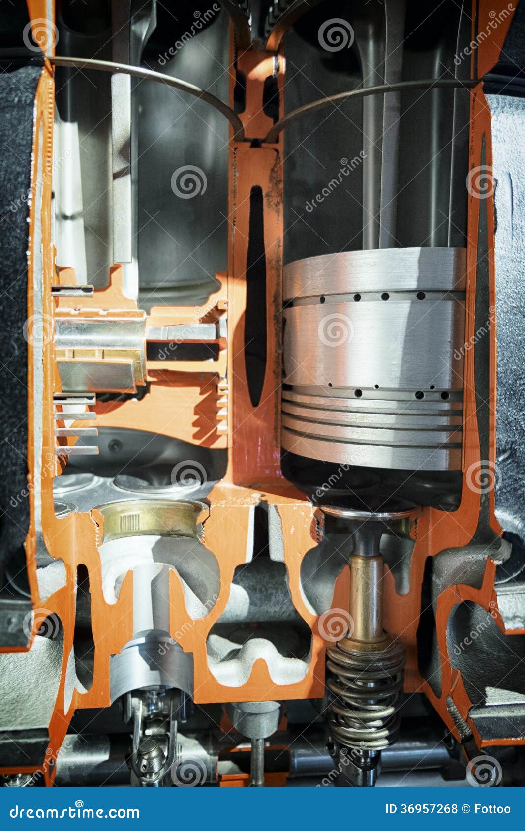 Zylinder - Querschnitt stockfoto. Bild von teil, hell - 36957268