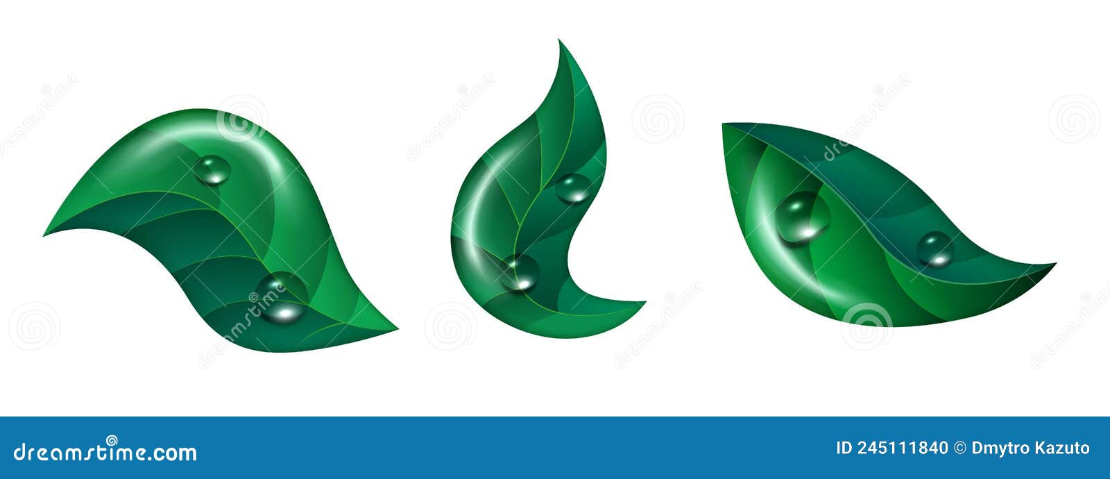 Ð»Ð¸Ñ Ñ‚Green Leaves with Dew Drops. Tree Leaf Set. Vector Clipart Isolated on White Background ...