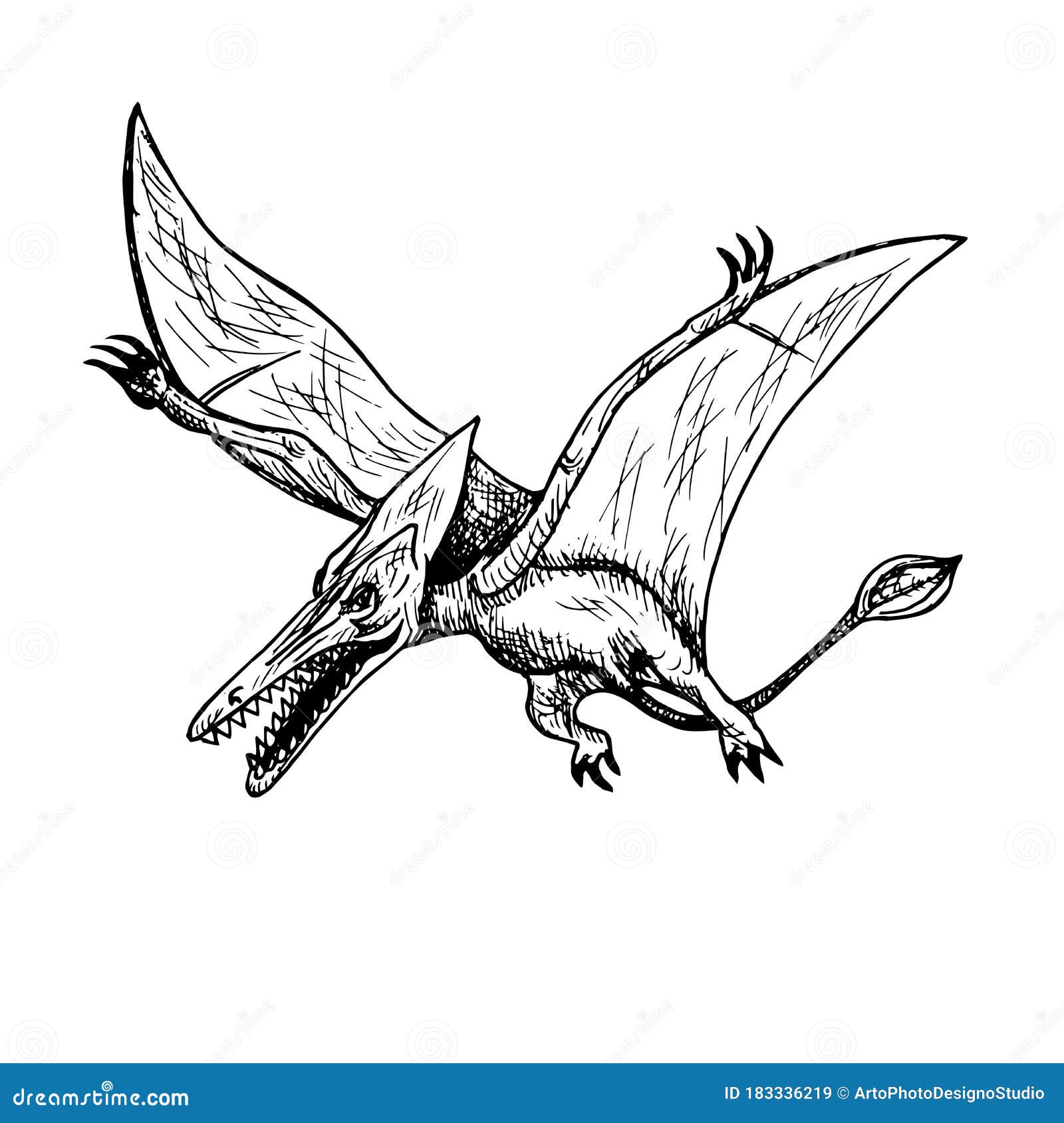 Pterodactyl Sketch Stock Illustrations – 278 Pterodactyl Sketch Stock Illustrations, Vectors ...
