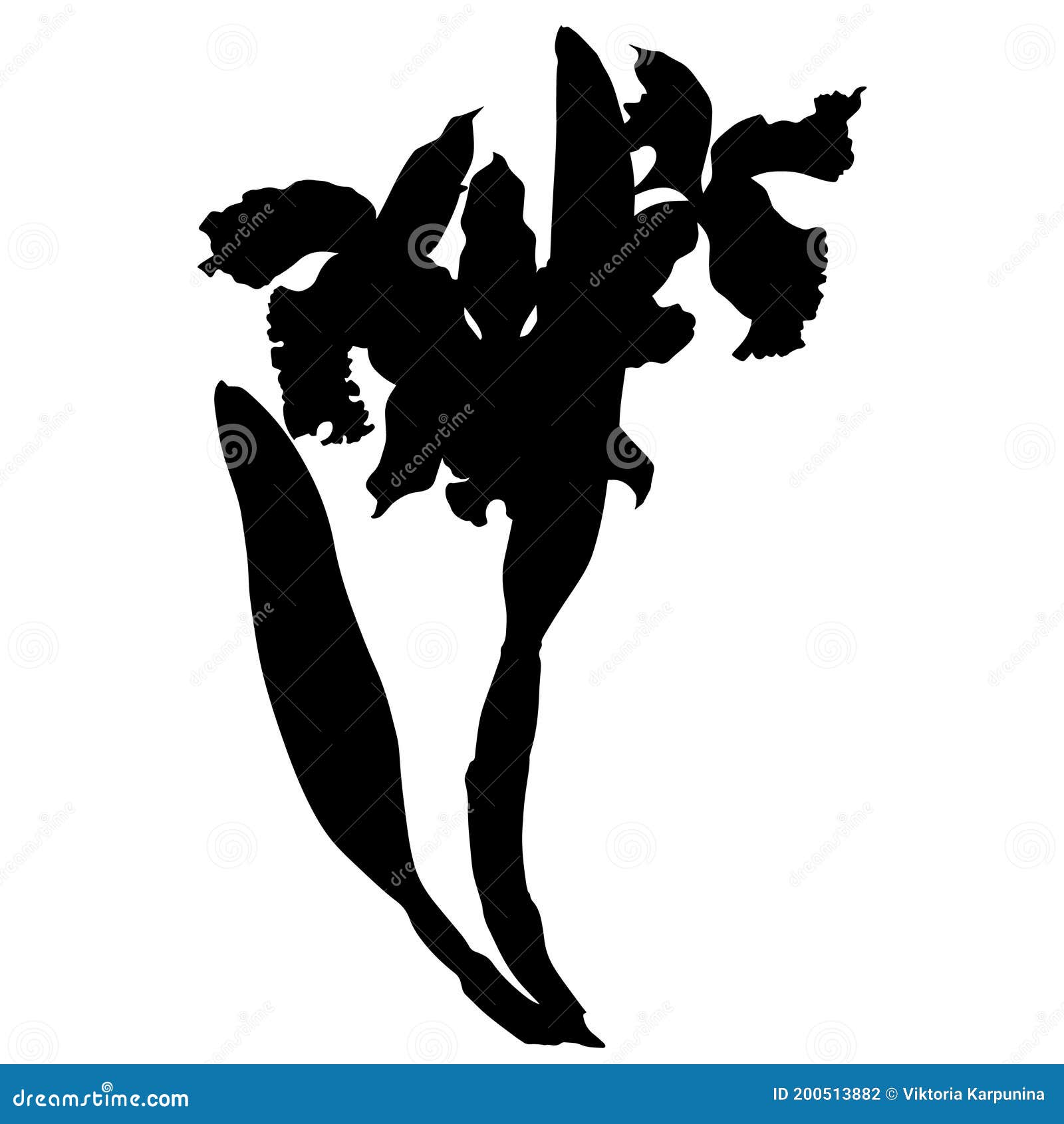 Hand Drawn Black Vector Silhouette Of Orchid Stock Vector