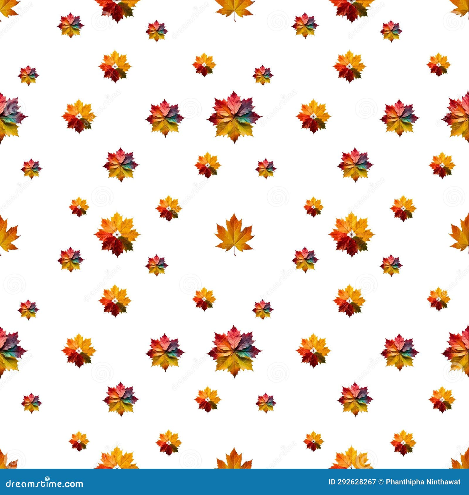Seamless Pattern with Colorful Maple Leaves on White Background Stock Illustration ...