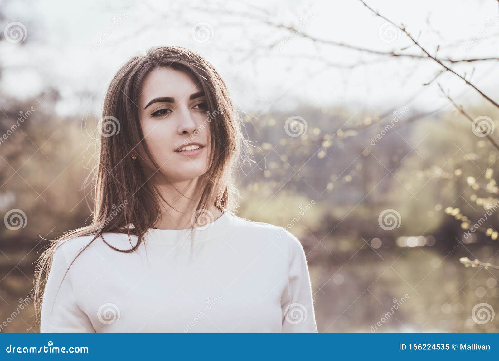 一个美丽的褐发女人的画像 库存图片 图片 包括有 æ²‰æ€ å¿«ä¹ ç‰© é˜ ÿæ 166224535