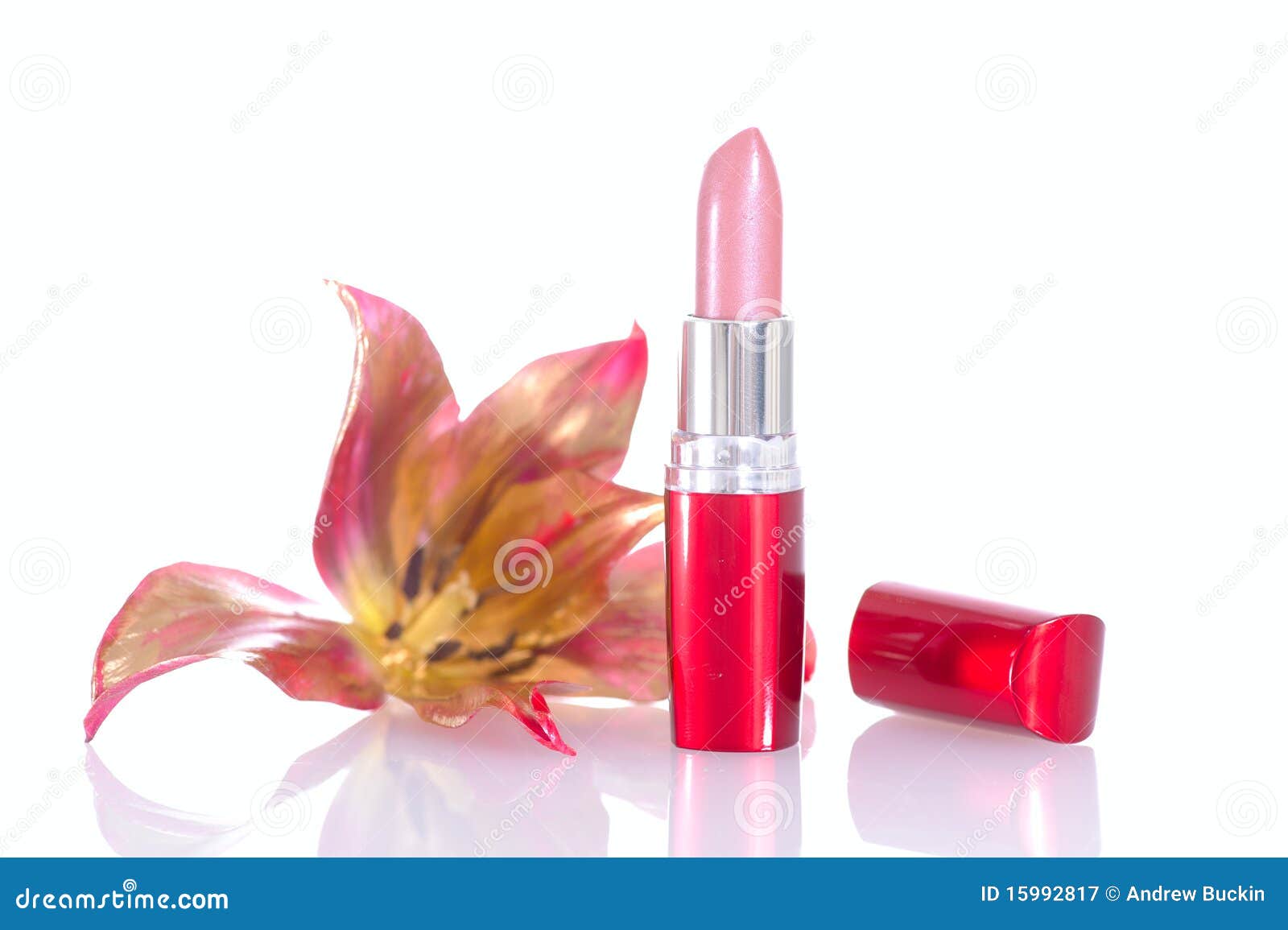 Lipstick 库存图片 图片 包括有 叶子 激情 开花的 金子 欲望 宏指令 构成 方式 15992817