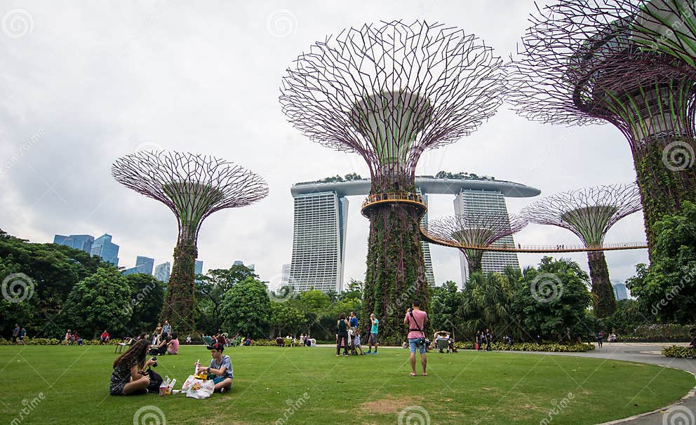 在滨海湾公园的Supertree在新加坡 编辑类照片. 图片 包括有 著名, 拱道, 音乐, 豪华, 具体化 - 97607426